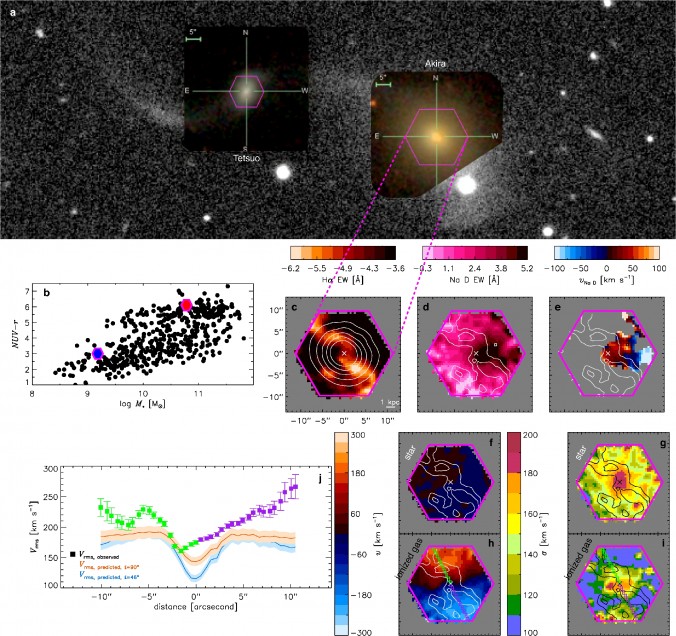 Red Geysers in MaNGA: New Evidence for AGN Maintenance Mode Feedback ...